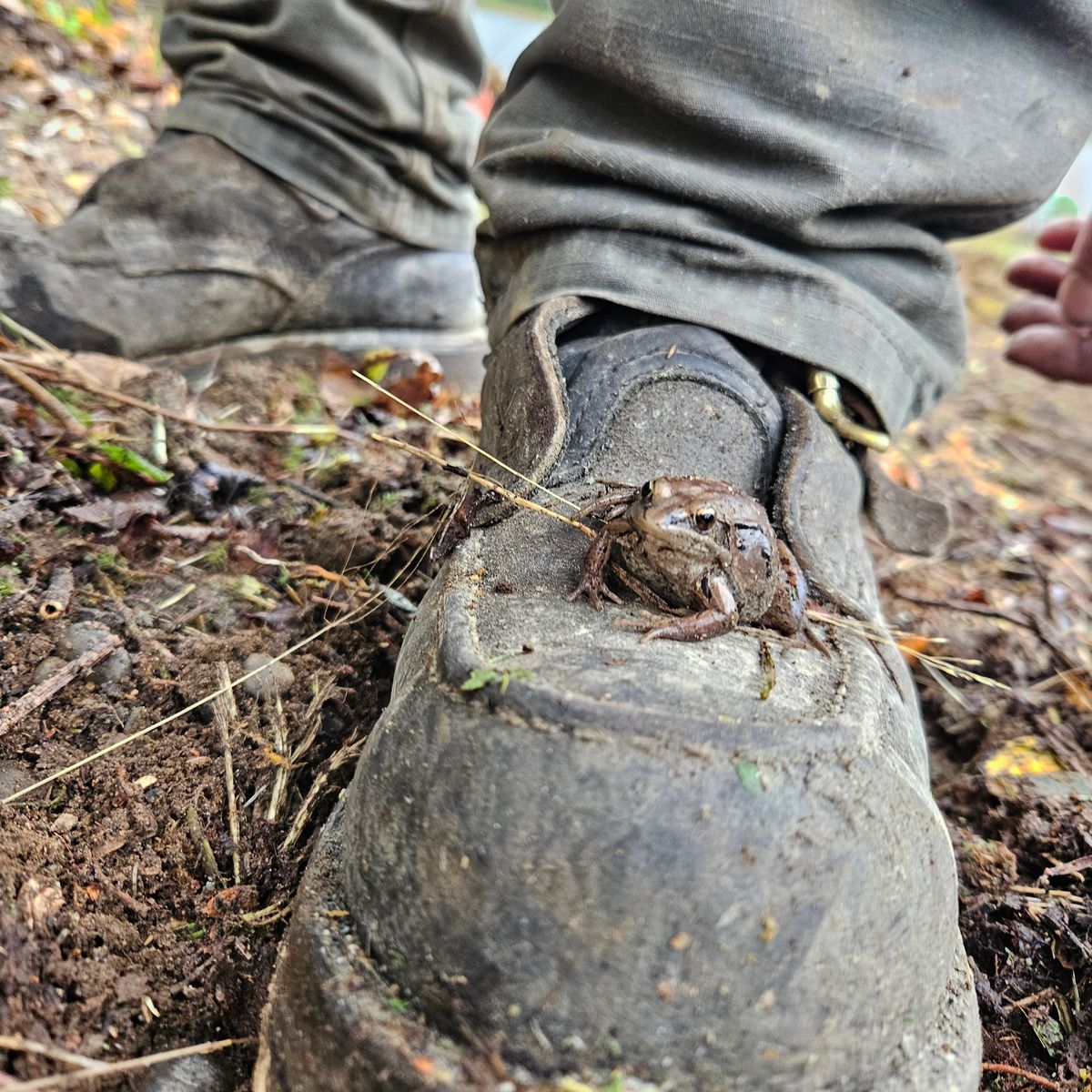 Nicks Handmade Boots | Patina Project