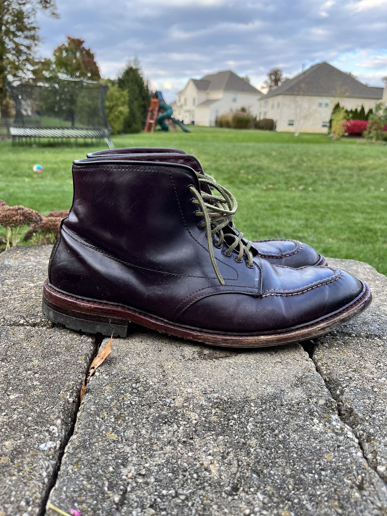 Alden Indy Boot in Horween Color 8 Shell Cordovan | Patina Project