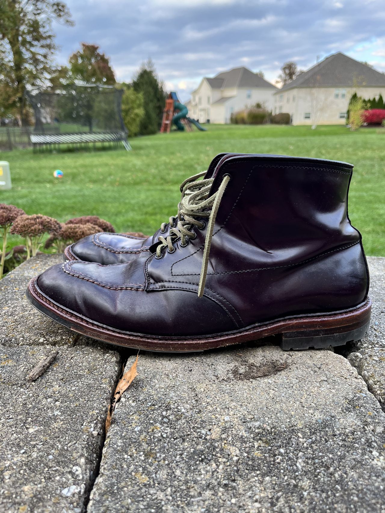 Alden Indy Boot in Horween Color 8 Shell Cordovan | Patina Project