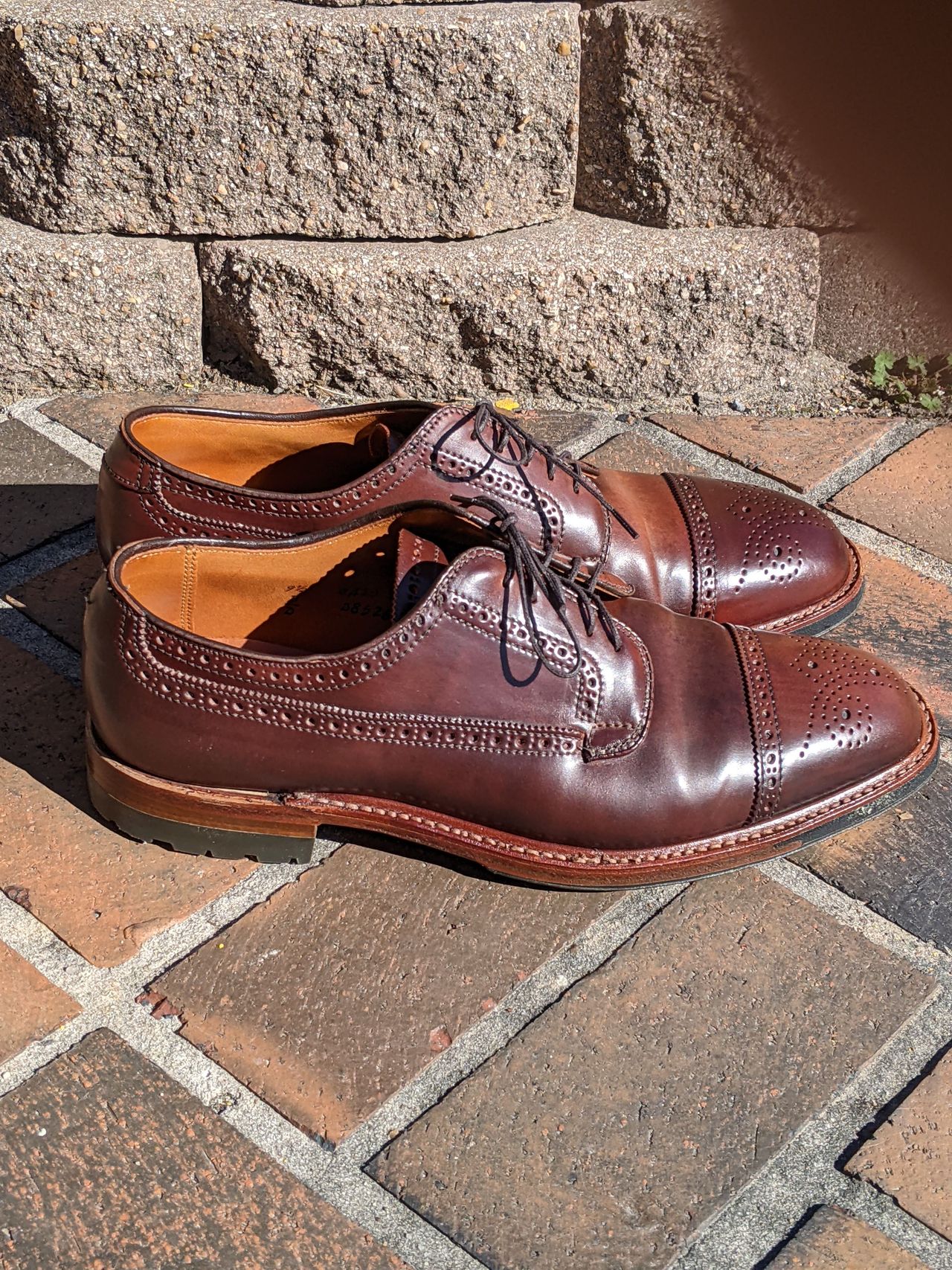 Alden Atom Blucher in Horween Color 8 Shell Cordovan | Patina Project