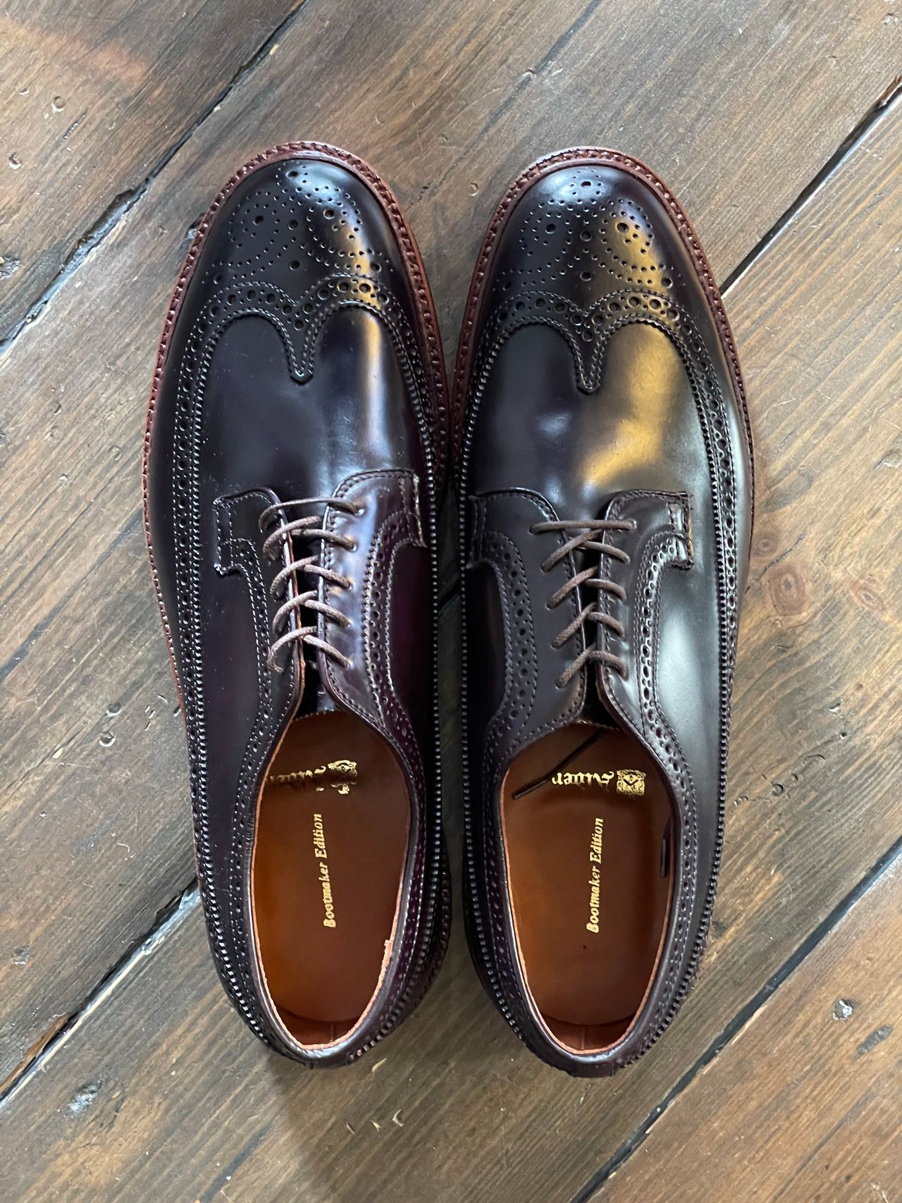 Alden Long Wing Blucher in Horween Color 8 Shell Cordovan | Patina Project