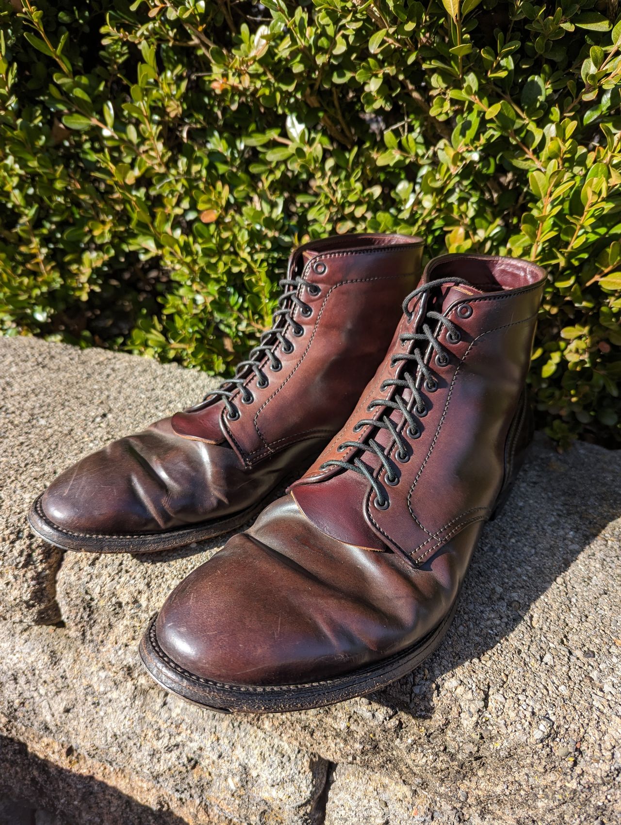 Alden Plain Toe Boot in Horween Color 8 Shell Cordovan | Patina Project