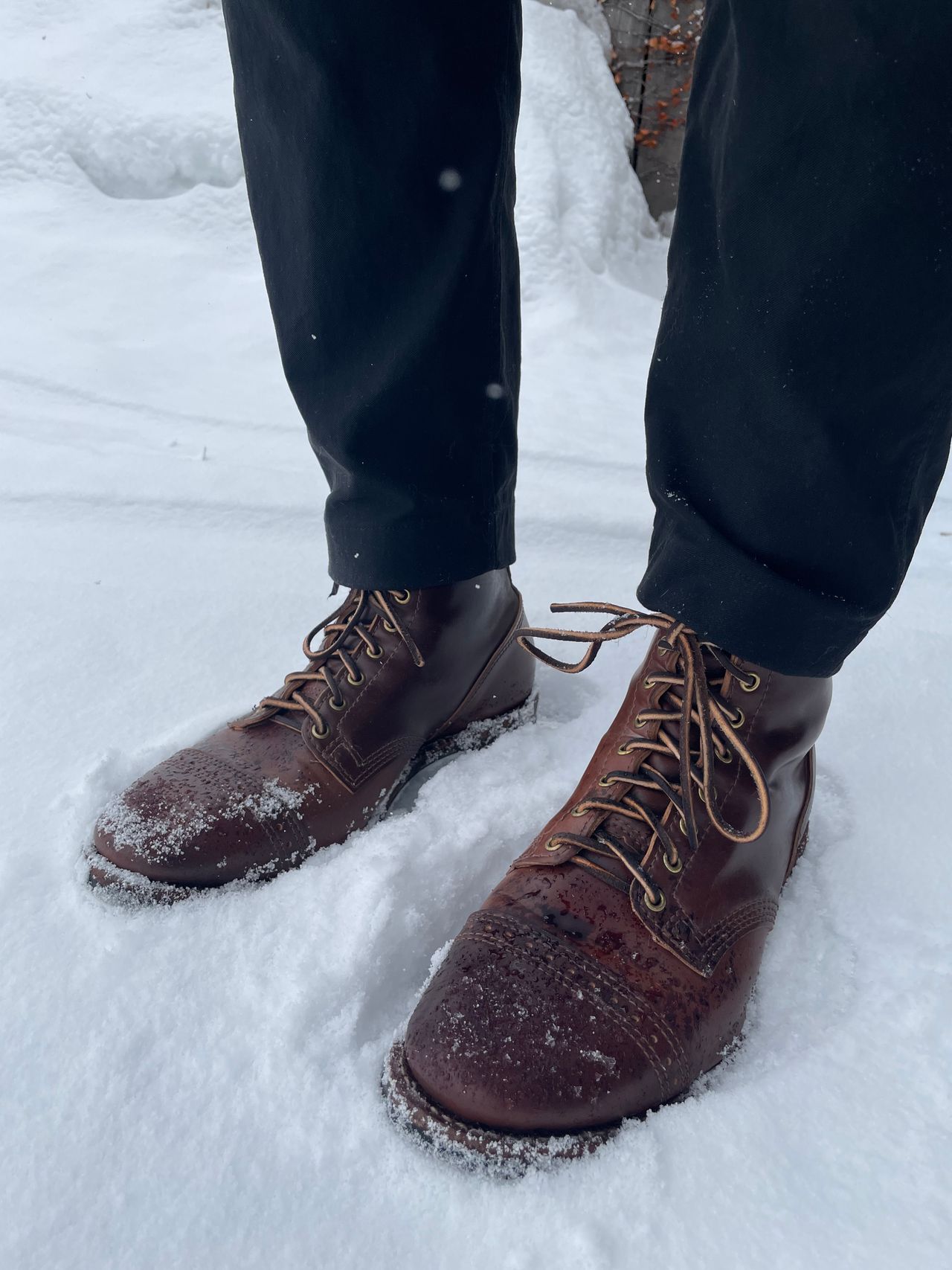 Wesco Hendrik in Horween Color 4 Shell Cordovan | Patina Project
