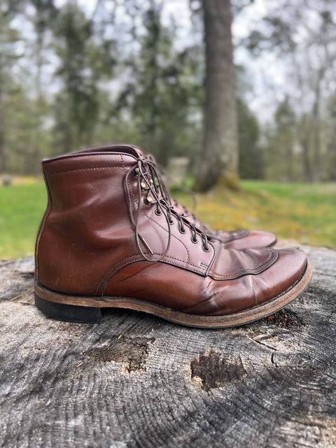 Makers U Mocca Blucher | Photo by patinathunderdome | May 6, 2022 ...