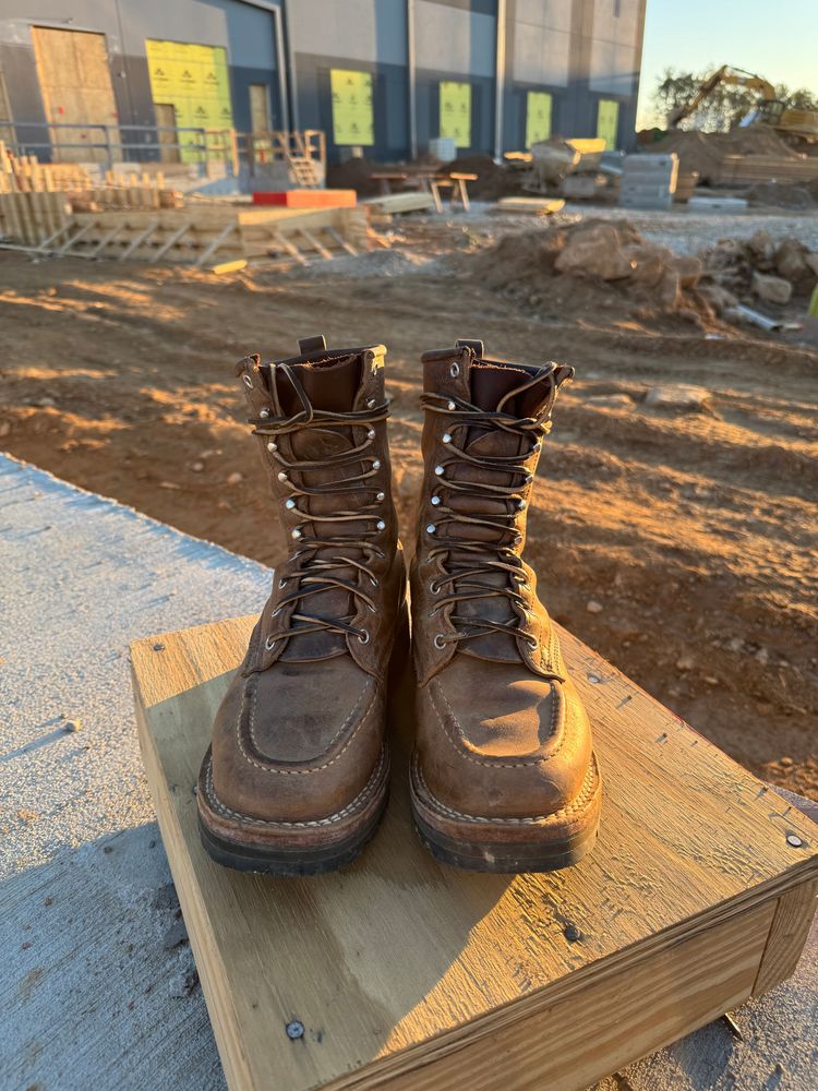 Nicks DomePro in Predator Natural | Photo by almazan97 | November 5 ...