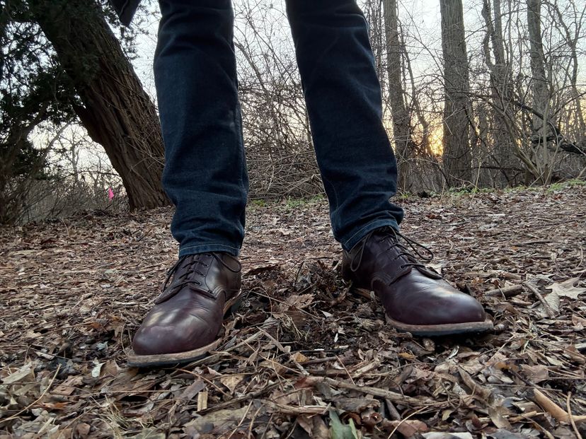 Red Wing Beckman in S.B. Foot Black Cherry Excalibur | Photo by Shrimpy ...