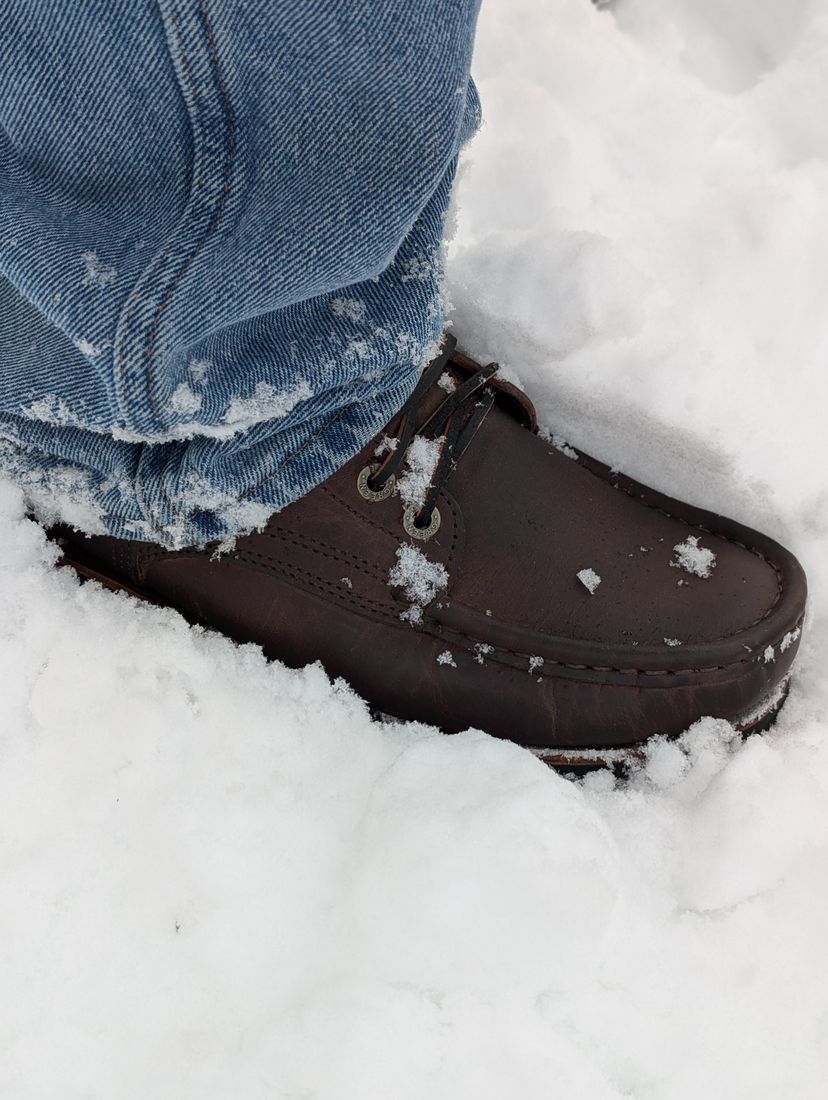 Jim Green Workhorse in Jim Green Bronco | Photo by BootsInBK | December ...