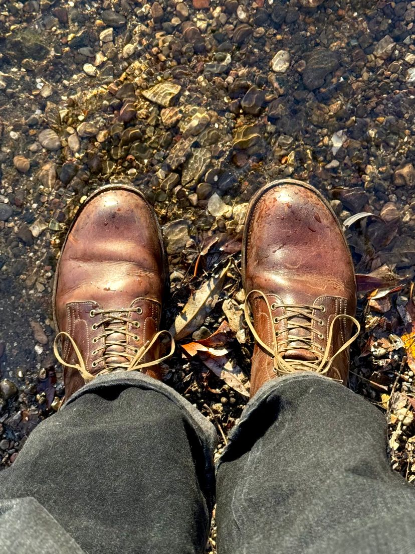 Viberg Service Boot in C.F. Stead Whiskey Phoenix | Photo by Drover_Shy | November 13, 2025 ...