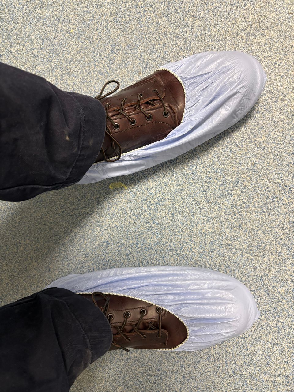 Red Wing Beckman in S.B. Foot Black Cherry Excalibur | Photo by Shrimpy ...