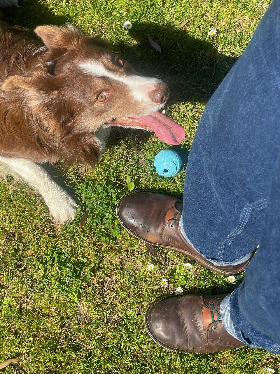 Jim Green AR8 in Fudge Crazy Horse | Photo by Scope75 | March 2, 2025 | Patina Project