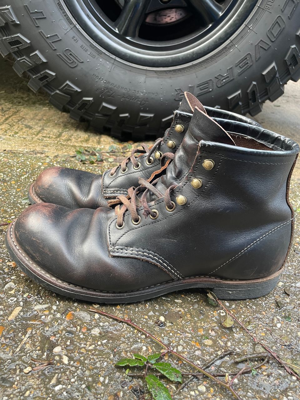 Red Wing Blacksmith in S.B. Foot Black Prairie | Photo by jaygti ...
