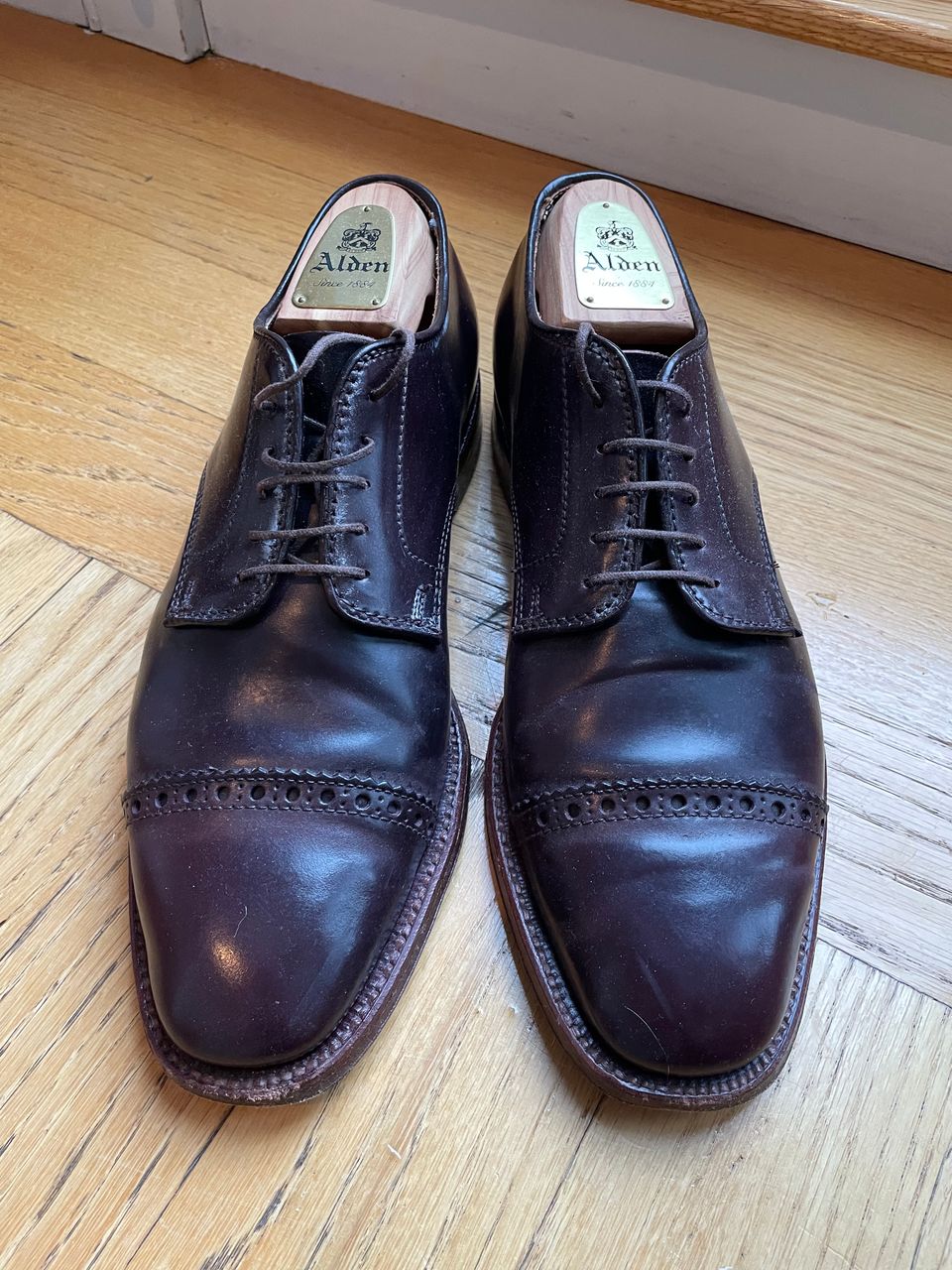 Alden Director Unlined Perforated Tip Derby in Horween Color 8 Shell ...