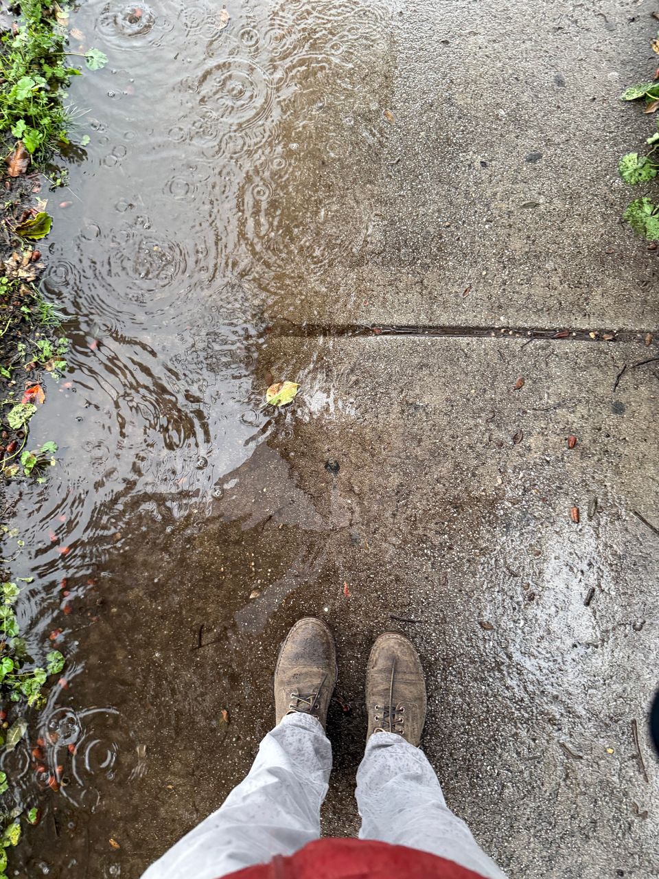 White's MP-Sherman Toe Cap in C.f. Stead Tobacco Waxy Commander | Photo ...