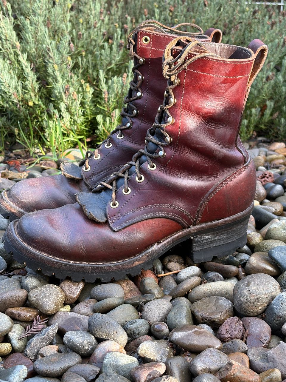 Frank's Front Range in Wickett & Craig Chestnut Oiled Latigo & Wickett ...