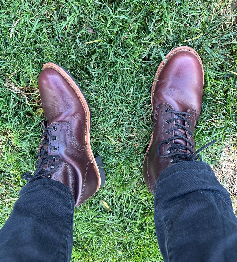 Red Wing Beckman in S.B. Foot Black Cherry Excalibur | Photo by ...
