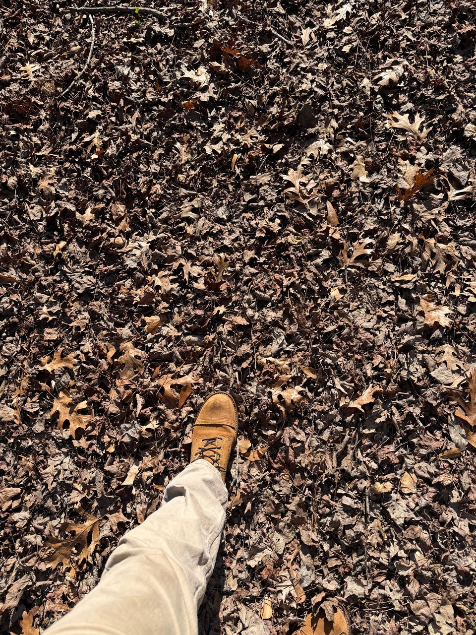 Red Wing Iron Ranger in S.B. Foot Hawthorne Muleskinner | Photo by ...