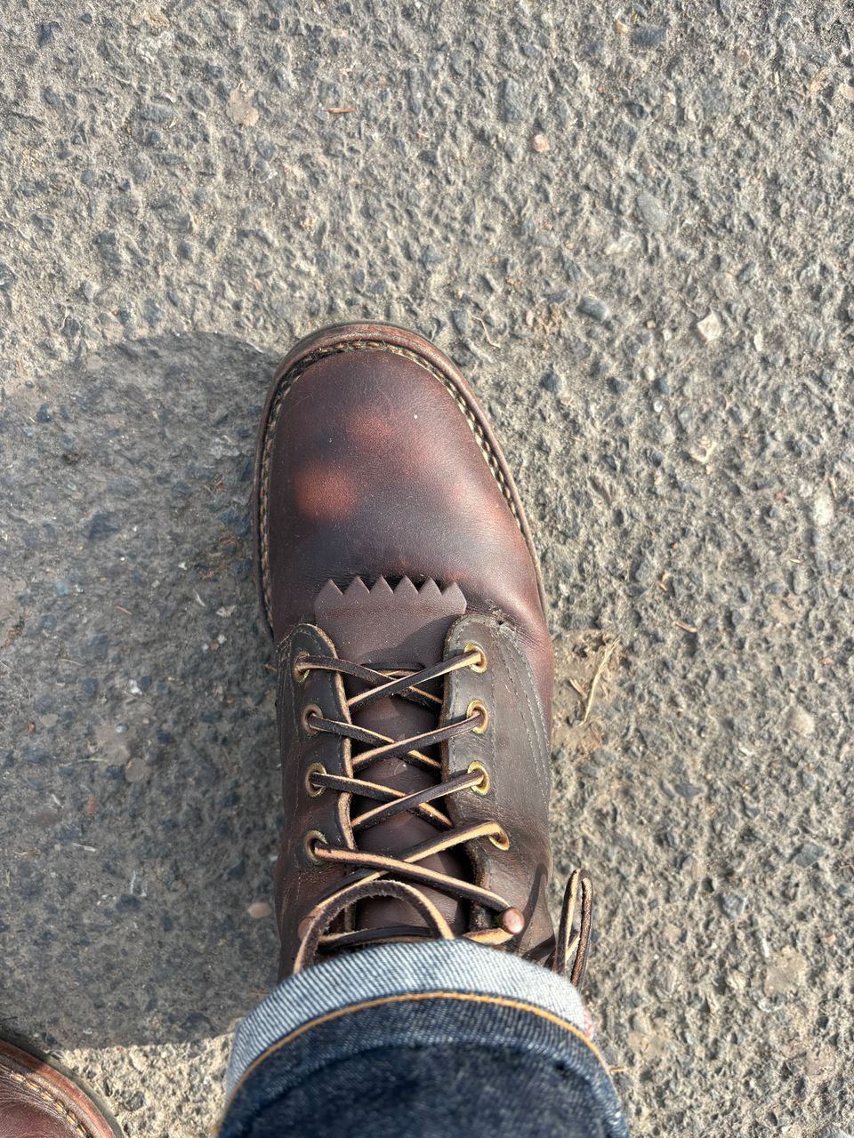 Hathorn Packer in Brown Pull Up | Photo by geckotrekker | January 22 ...