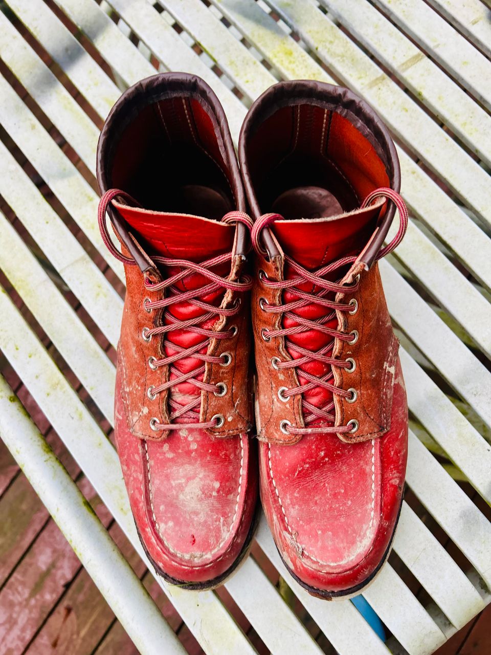 Red Wing 6-Inch Classic Moc in S.B. Foot Oro Russet Portage & S.B. Foot ...