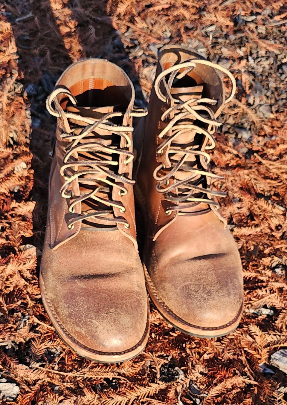 Oak Street Bootmakers Field Boot in MARYAM CULLATO CUVALO NATURAL ...